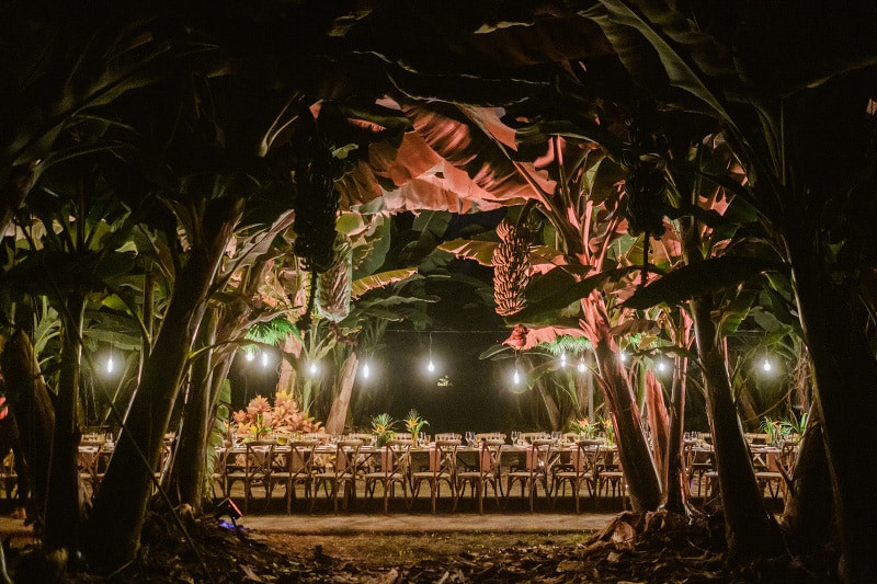 Team Factory | Team building | Tenerife Convention Bureau