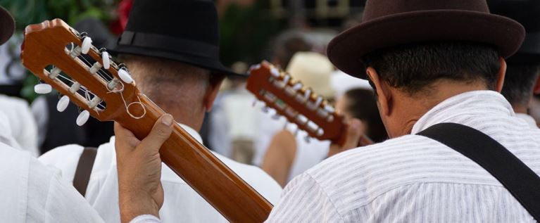 Romeria de San Isidro Labrador de Los Realejos