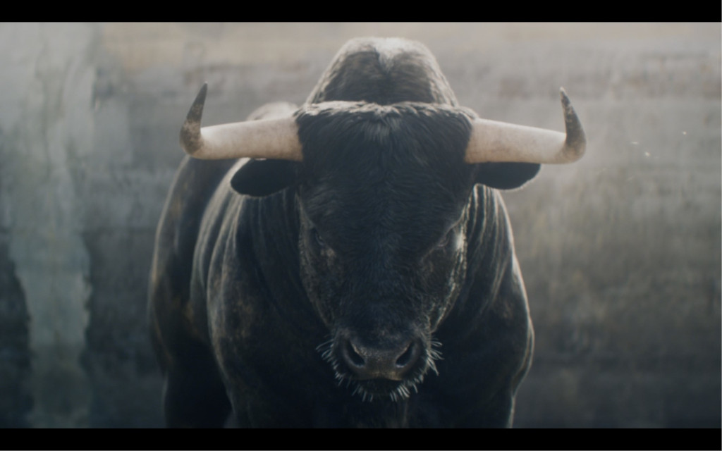 22 DOGS VFX | Directorio profesional | Tenerife Film Commission