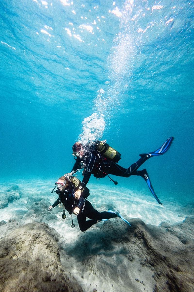 Atlantic Eco Diving | Centros de buceo | Tenerife