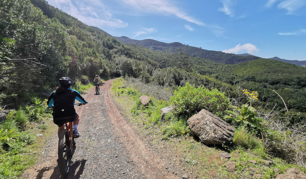 Fun Bike Adventures | Empresas de actividades | Tenerife
