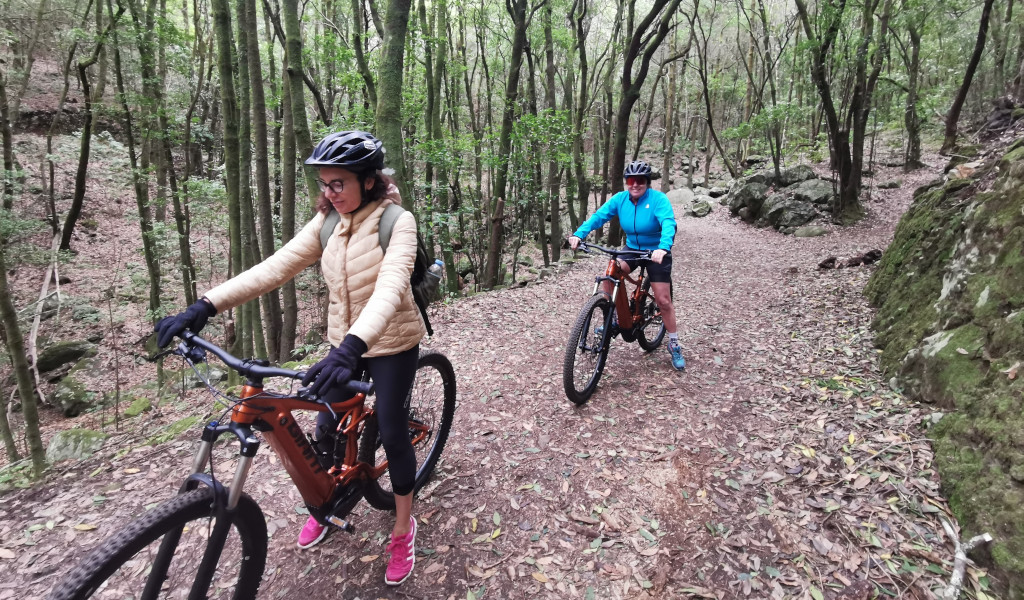 Fun Bike Adventures | Empresas de actividades | Tenerife