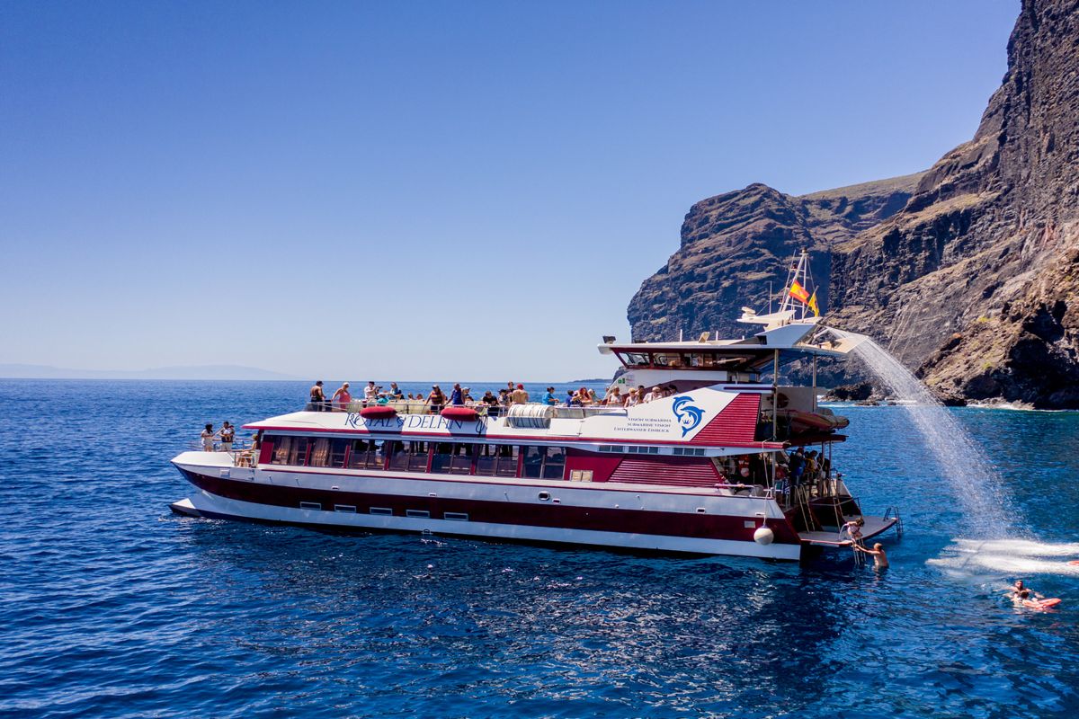 Tenerife Dolphin | Empresas de actividades | Tenerife