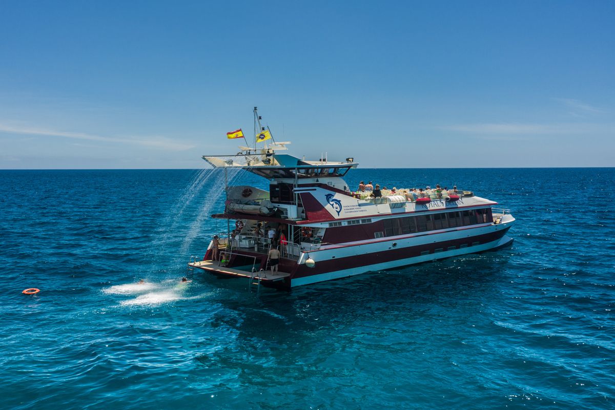 Catamarán Royal Delfin | Empresas de actividades | Tenerife