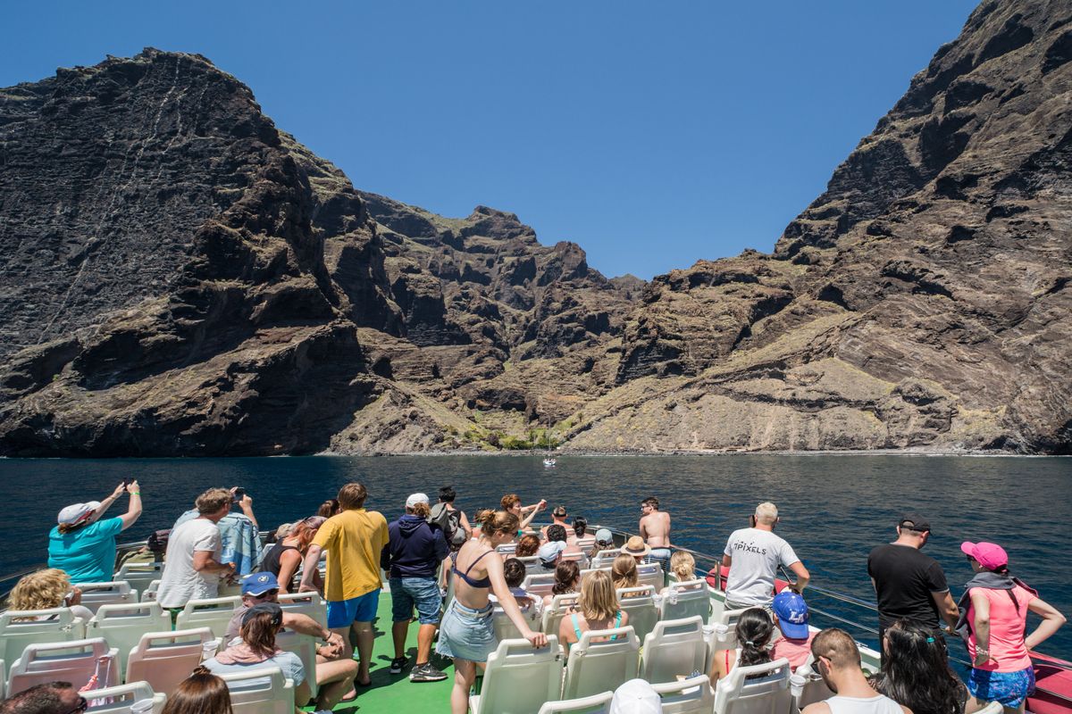 Catamarán Royal Delfin | Empresas de actividades | Tenerife