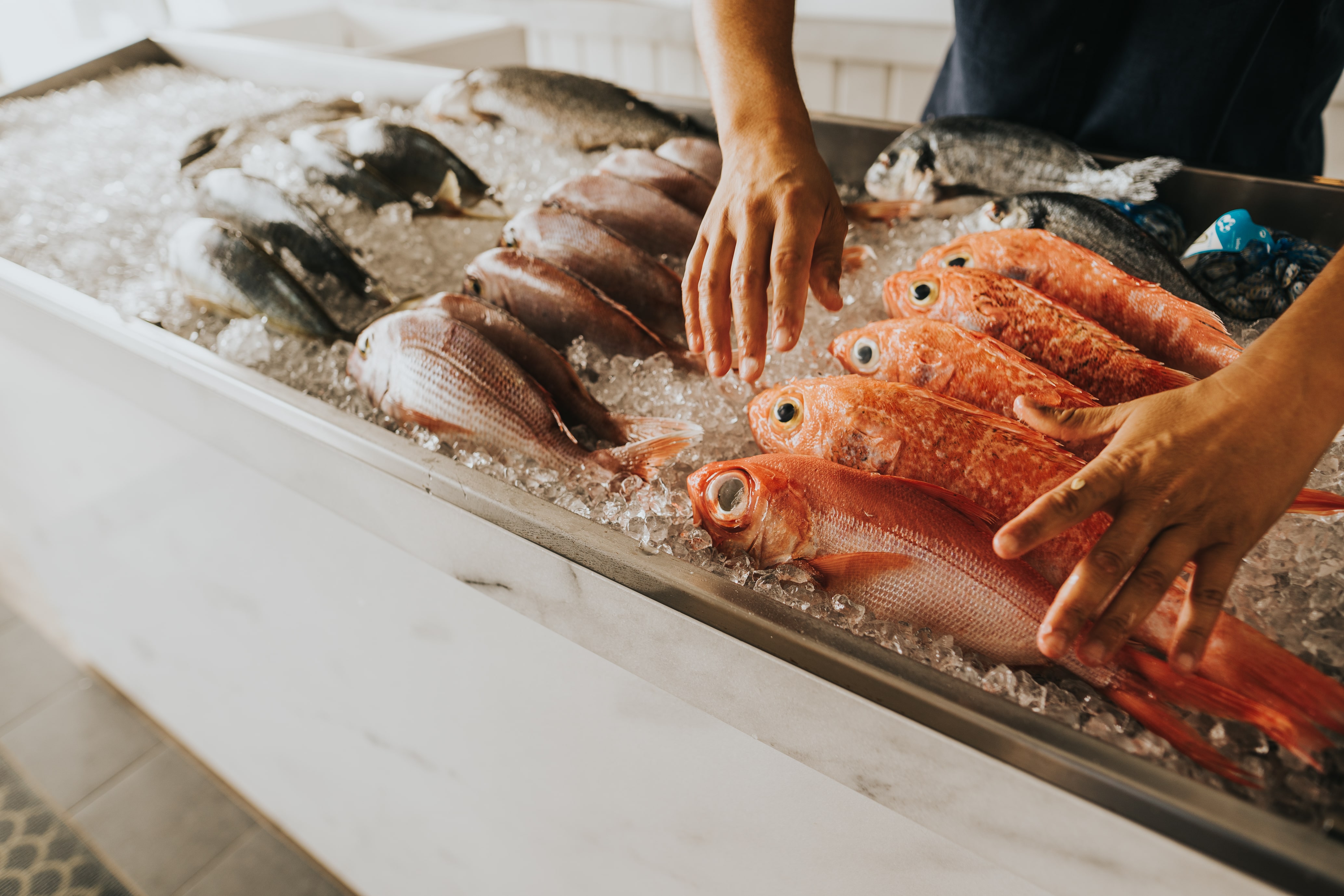 Bésame Mucho | Restaurantes locales e internacionales en Tenerife ...