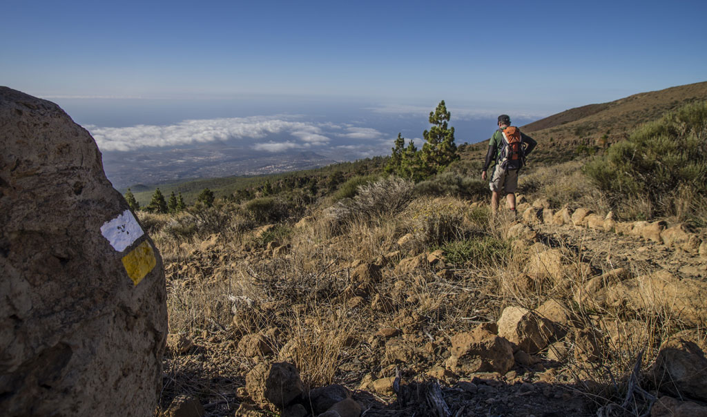 PR-TF 86 Villa de Arico - Cumbre de Arico | Senderos | Tenerife