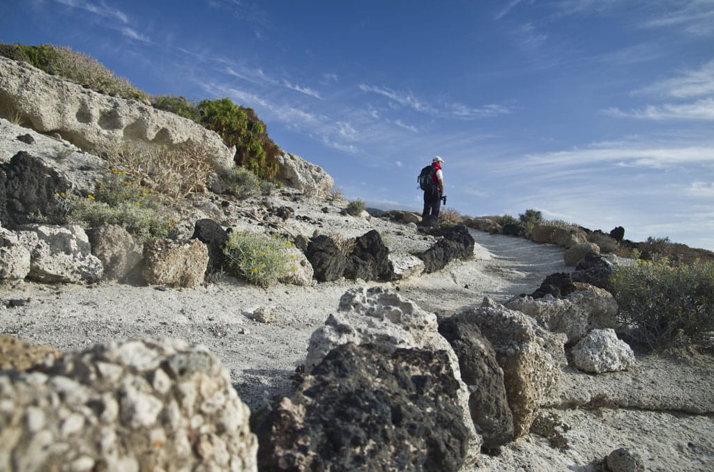 SL-TF 292 Samarines | Senderos | Tenerife