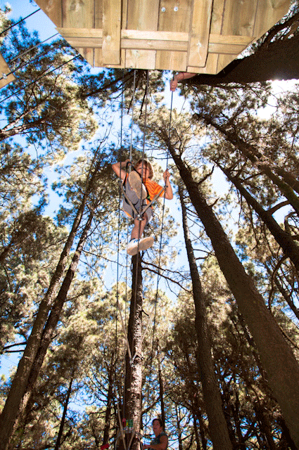 Forestal Park Tenerife | Parques de ocio | Tenerife
