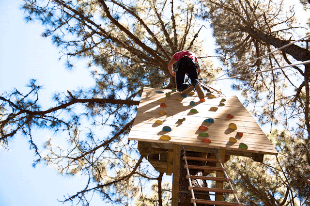 Forestal Park Tenerife | Parques de ocio | Tenerife