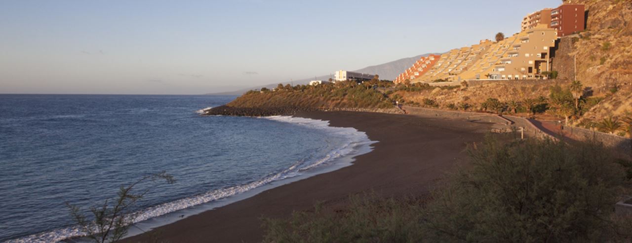 Playa de la Nea | Playas | Tenerife